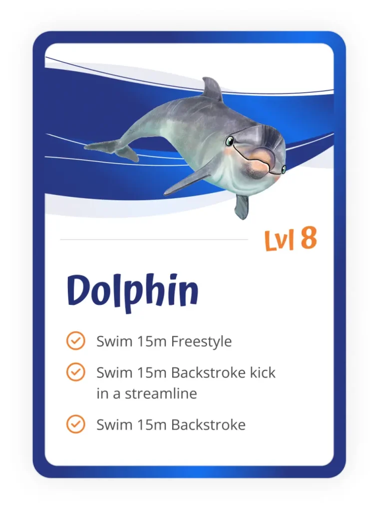 Swimming Levels - Carlile Swim